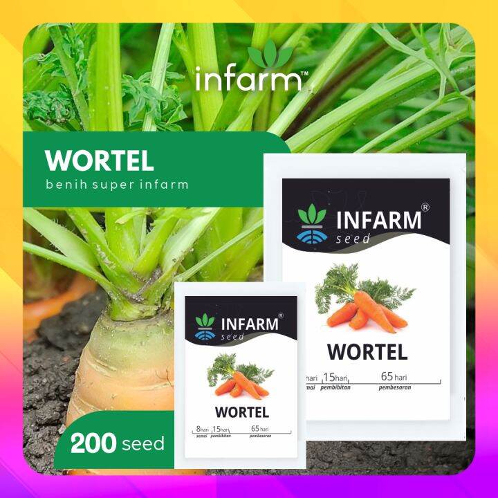 INFARM Benih Super Wortel | Benih tanmana wortel | Bibit wortel | COD ...