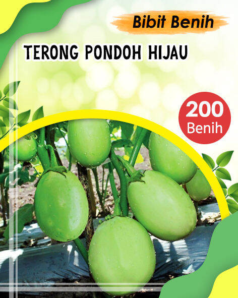 DISCON Benih terong pondoh Hijau 20 butir benih sayuran murah | Lazada ...