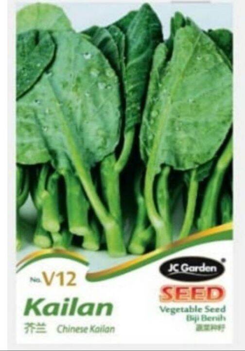 JC Chinese Kailan vegetable seed/biji benih kailam/芥兰菜菜种子 | Lazada