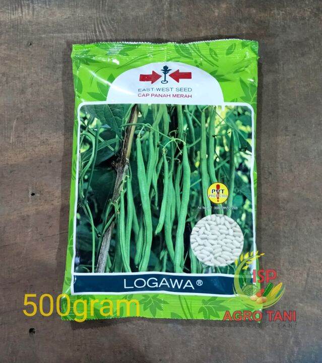 Benih Buncis LOGAWA isi 500gram - cap panah merah | Lazada Indonesia