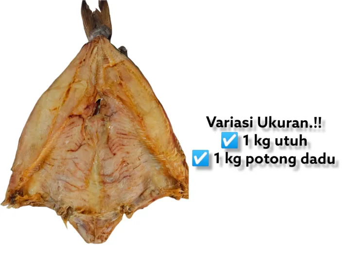 ikan asin jambal roti super asli pangandaran 1 kg | Lazada Indonesia