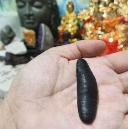 【AUTHENTIC】MUTYA NG LINTA (ITIM) | Lazada PH