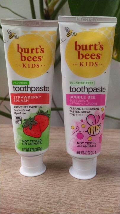 BURT’S BEES kids toothpaste🇺🇸🇺🇸 | Lazada PH