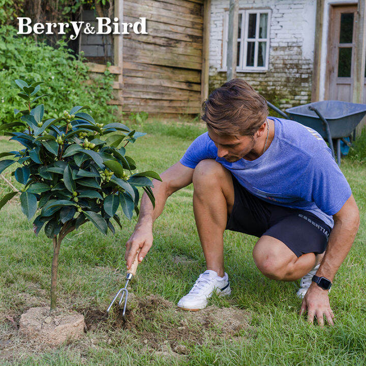 Berry&Bird Stainless Steel Gardening Handheld Triple Claw Hand Rake ...