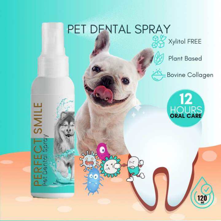 Perfect Smile Pet Dental Spray | Lazada PH