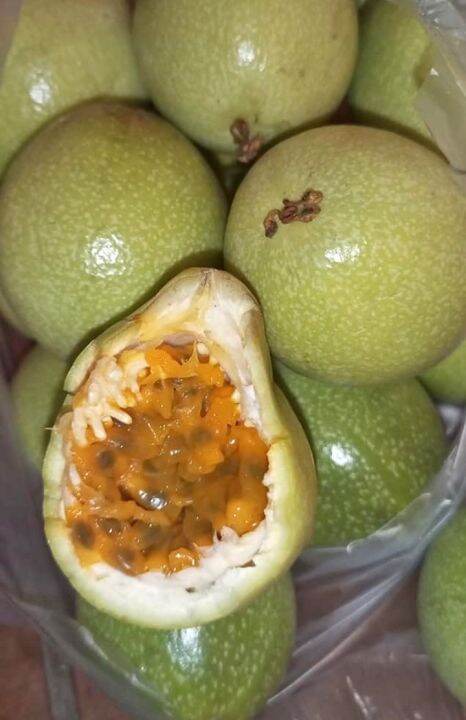 Buah Markisa Segar Per 1 kg | Lazada Indonesia