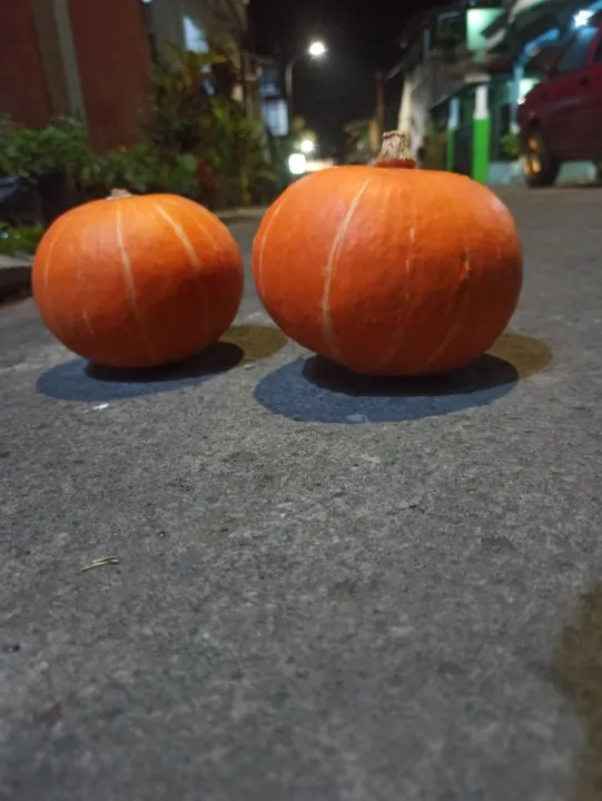 LABU KABOCHA ORANGE / LABU KUNING / LABU Jepang COMBUCHA berat 800-1000 ...