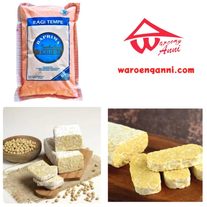 Indonesia Ragi Tempe / Tempeh Yeast / Starter Tempeh (500gr) | Lazada.co.th
