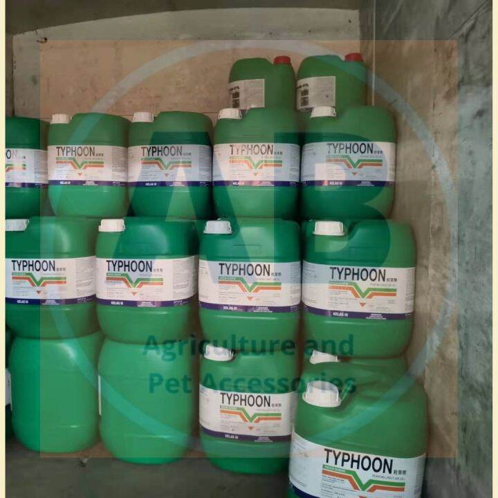 RACUN RUMPUT/RUMPAI TYPHOON 20L Glyphosate | Lazada