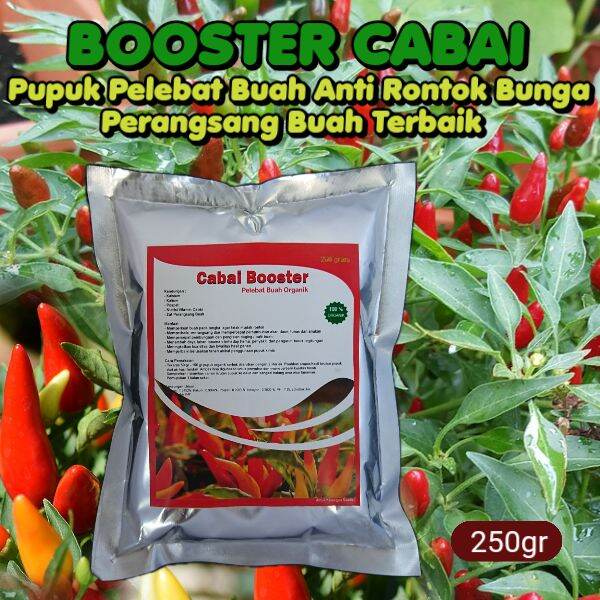 Pupuk Booster Cabai Pelebat Buah Organik Pupuk Cabe Agar Cepat Berbuah Lebat Ampuh Terbaik Asli ...