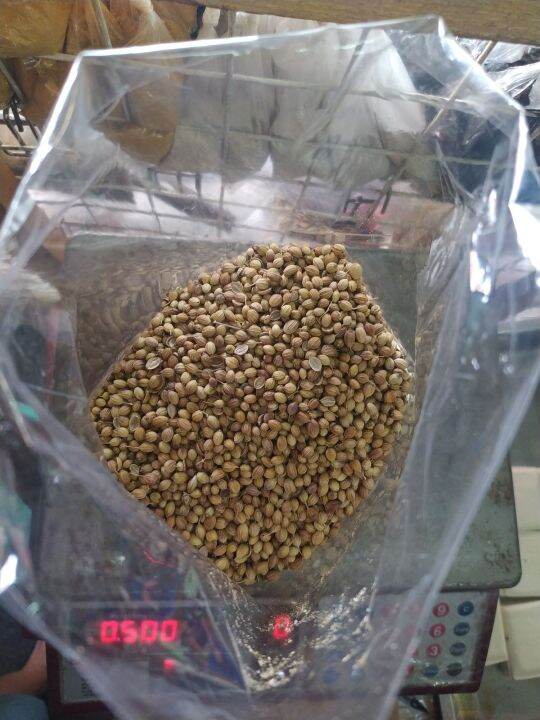 Coriander Seeds ( Kulantro ) 1kg | Lazada PH