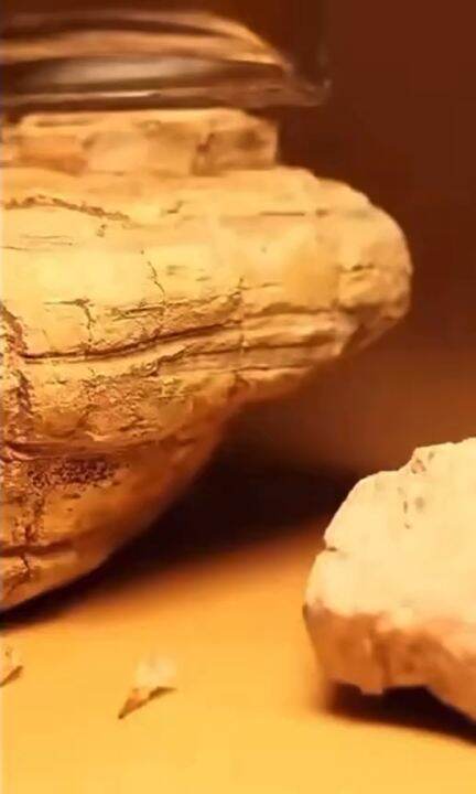 #05 GABELIL BEAUTY PERFUME WITH LONG LASTING FRAGRANCE (50ml) | Lazada PH