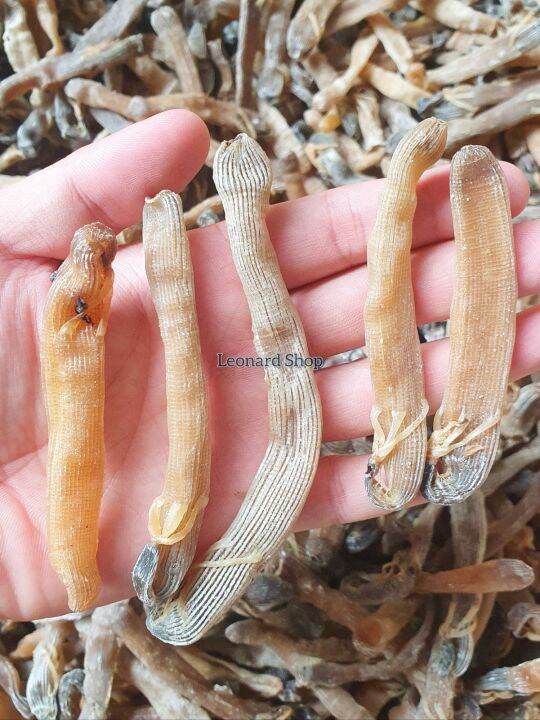 沙虫 Cacing Laut Kering Super / Peanut Worm Cocok Untuk Hidangan Restoran ...