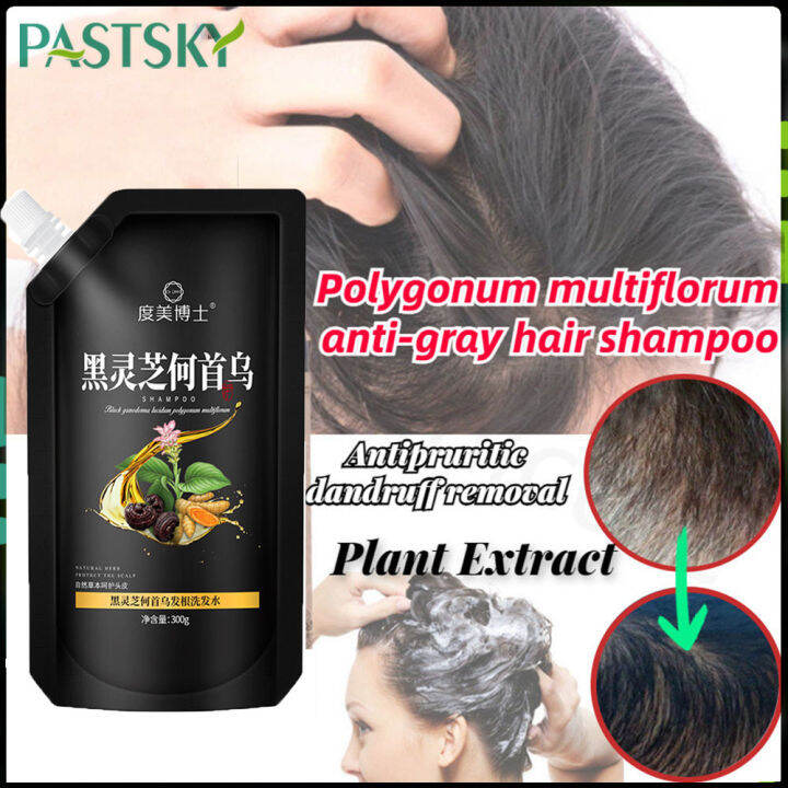 Black Ganoderma Polygonum Multiflorum Shampoo Plant Oil Control Black ...