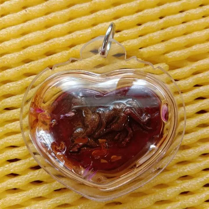 strongly blessed masaepnang inkoo love obsession oil amulet | Lazada PH