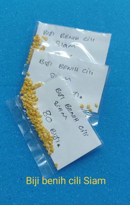 BIJI BENIH CILI SIAM | Lazada