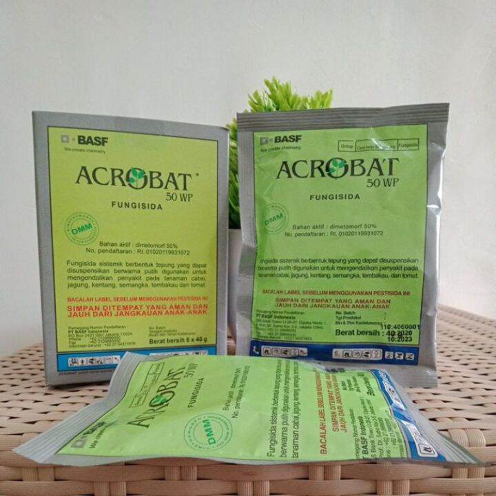 fungisida ACROBAT 50WP 40gram | Lazada Indonesia