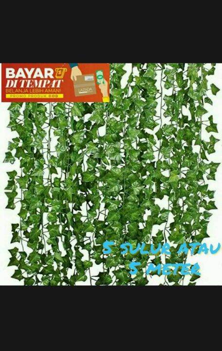 Daun Rambat Gantung 5 Sulur/ Daun Dekorasi/ Daun Hiasan | Lazada Indonesia