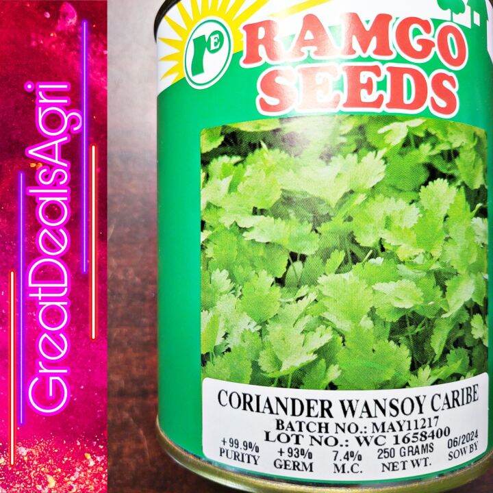 CORIANDER OPV WANSOY SEEDS (250 GRAMS) RAMGO SEEDS | Lazada PH
