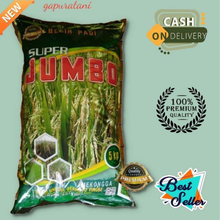 Benih padi unggul MEKONGGA bersertifikat 5kg label putih | Lazada Indonesia