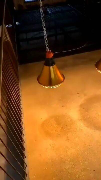 Viddavet brooder pen brooder pen for chicken brooding cage for chicks ...