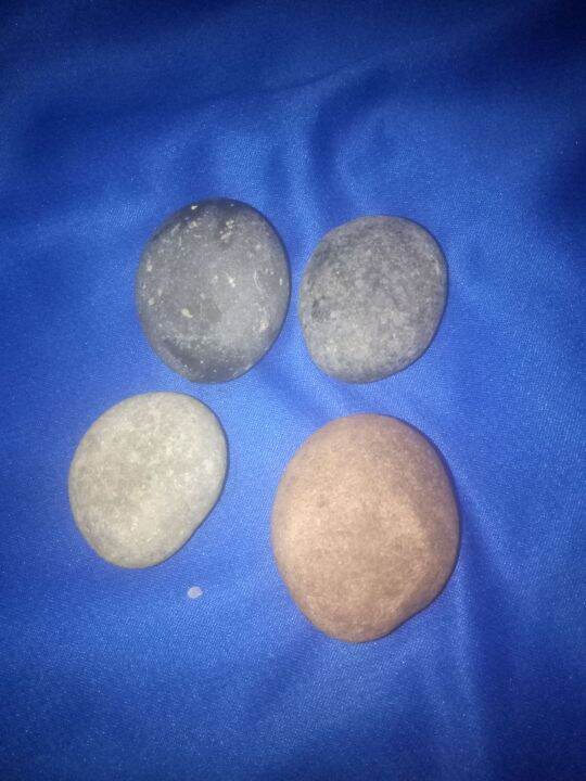 itlog ng daplak naging bato original galing kalikasan | Lazada PH