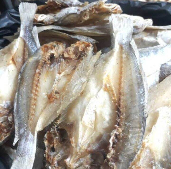 ikan asin ikan samge belah super ikan asin laut sea food | Lazada Indonesia