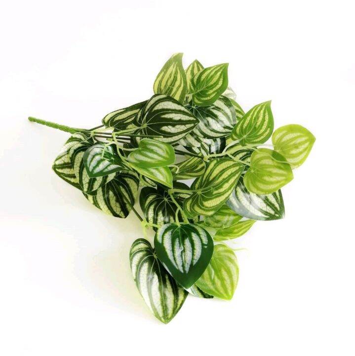 AL14 Daun Peperomia Watermelon Semangka Hias Artificial Tanaman Plastik ...
