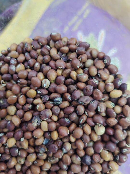 thuvarai 100g | Lazada