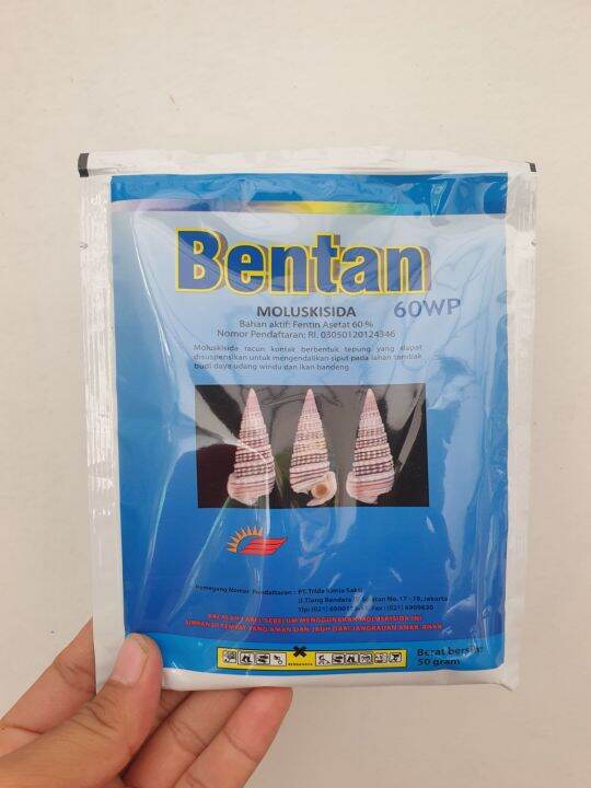 BENTAN 60WP 50gram moluskisida obat keong, siput sawah | Lazada Indonesia