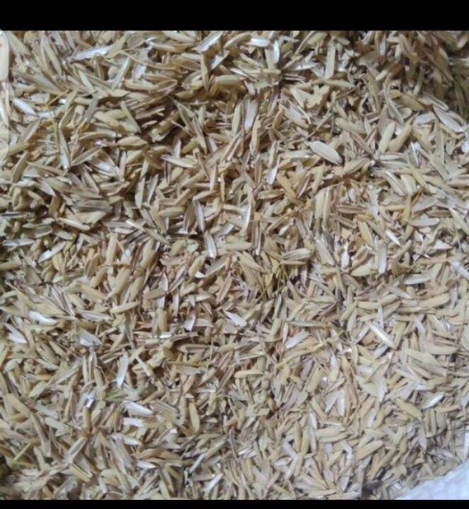 sekam padi/ampas padi/merang padi/media tanam | Lazada Indonesia