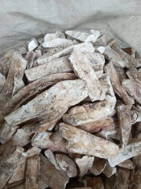 gaplek / gatot / singkong kering / makanan tradisional 1kg | Lazada ...