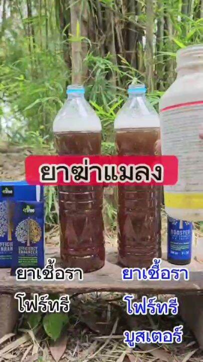 ส่งของไว !! 4Tree โฟร์ทรี+Booster บูสเตอร์ คู่หูพลัง x4 อาหารเสริมพืช อ้อยลำใหญ่ น้ำหนักดี พลัง ...