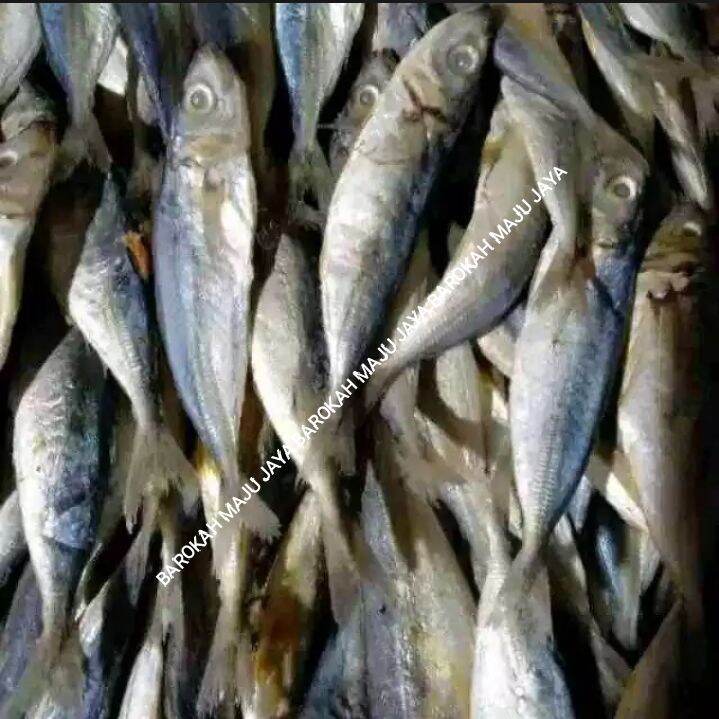 ikan asin 250 Gram ikan layang ikan klotok | Lazada Indonesia