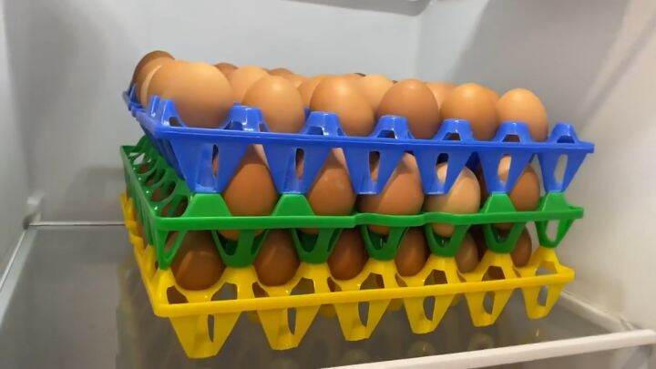 🐔Plastic Egg Tray By 30 PCS / Egg Tray Can / Tray Can Hold / Bekas ...