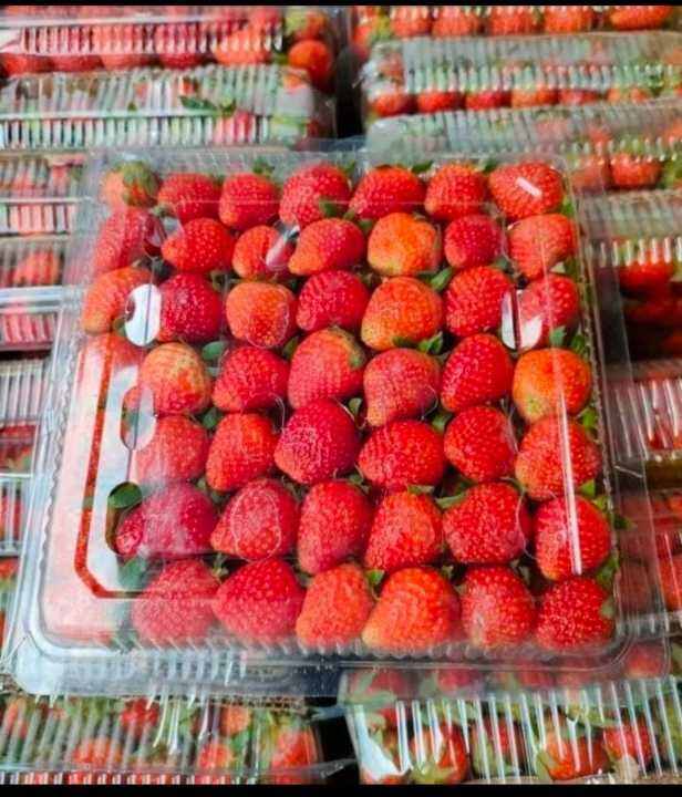 Strawberry fresh kemasan 1 kg | Lazada Indonesia