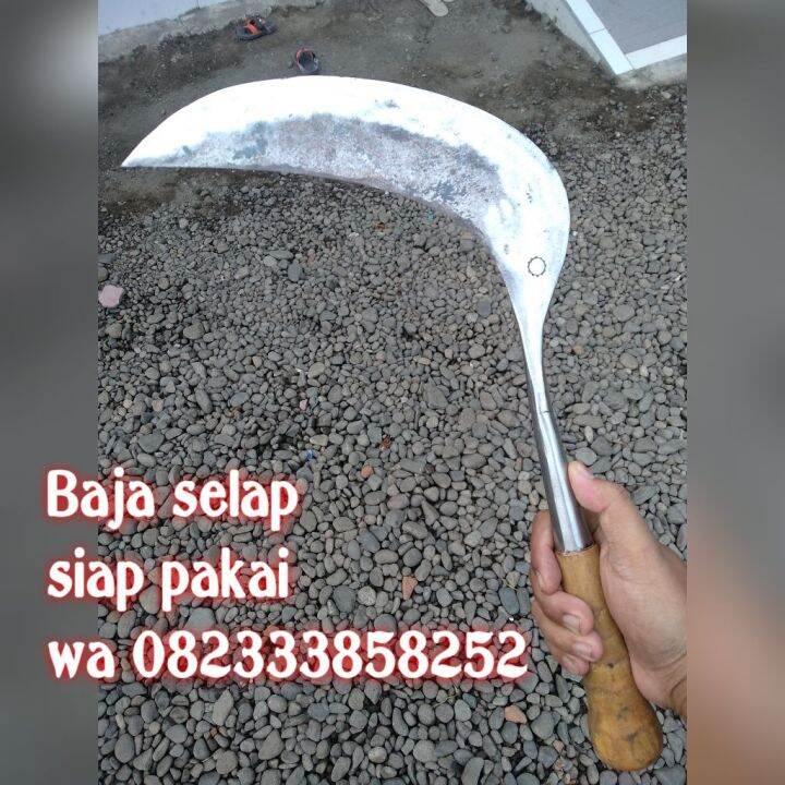 ARIT PADI RUMPUT GAJAH BAJA SELAP ISEN | Lazada Indonesia ARIT PADI RUMPUT GAJAH BAJA SELAP ISEN | Lazada Indonesia