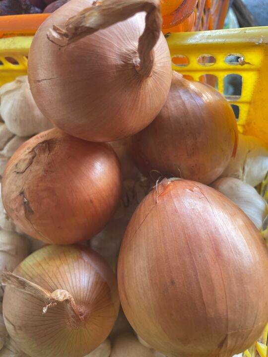 white onion 250g | Lazada PH