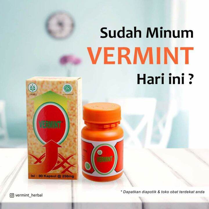 Vermint besar 30 kapsul (Ekstrak cacing tanah obat typus) | Lazada ...