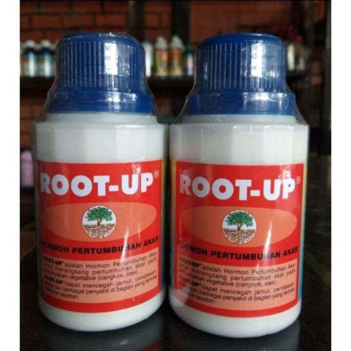 Root Up 100 gram - Root Booster 100 gr - Suplemen Akar Tanaman - Root ...