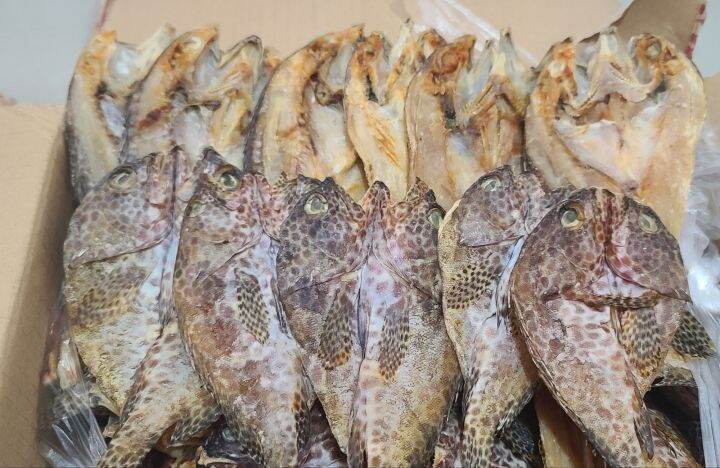 Dried Fish Lapu-lapu 250g Palawan best quality (Big size) | Lazada PH
