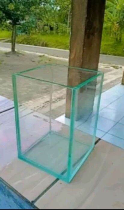 soliter / ikan cupang mini ukuran 10cm x 10cm x 15cm | Lazada Indonesia