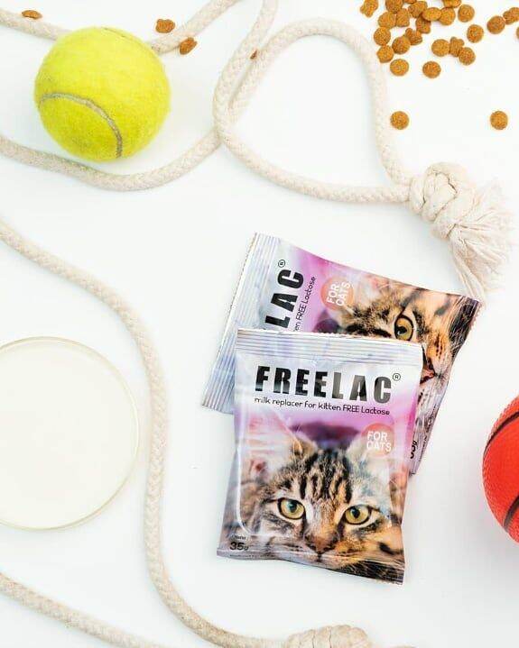 Freelac cat 35gr | Lazada Indonesia