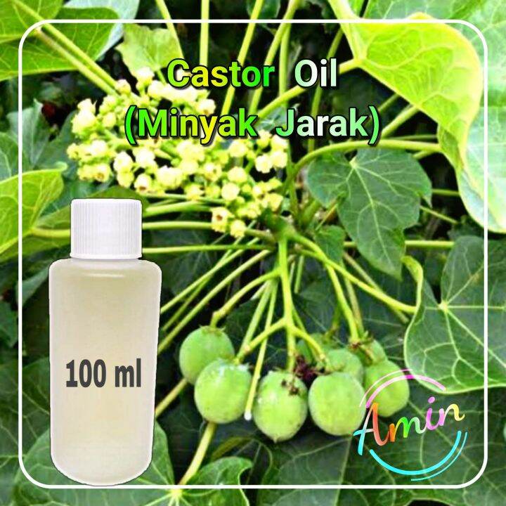 CASTOR OIL MINYAK JARAK MENGATASI MASALAH KULIT HINGGA RAMBUT BAHAN ...