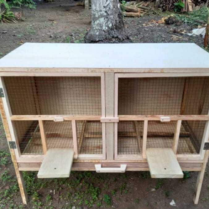 kandang burung merpati 2 pintu | Lazada Indonesia