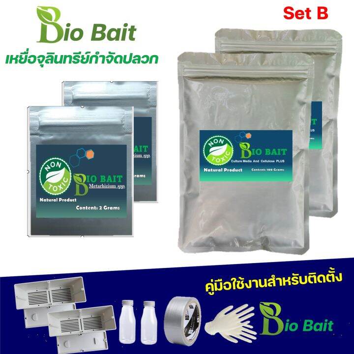 Termite Bio Bait ชุดเหยื่อเชื้อรากำจัดปลวกตายยกรัง จุลินทรีย์ฆ่าปลวก ...