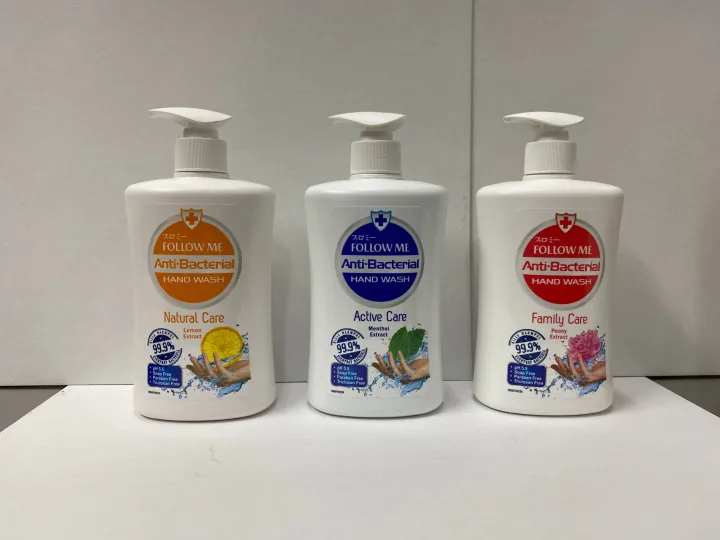 Follow Me Anti Bacterial Hand Wash 450ml. Ph 5.5, soap free, parable ...