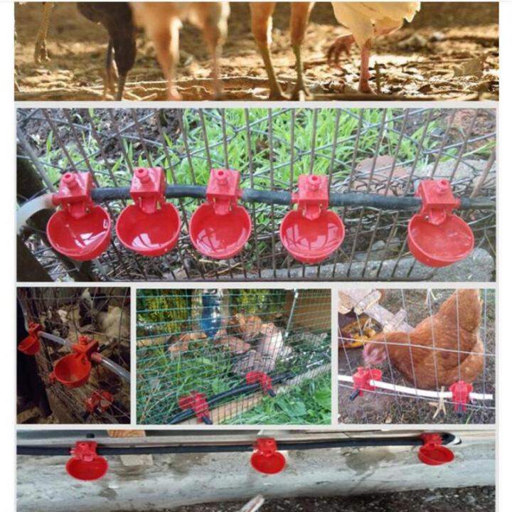 Automatic Chicken Water Cup Waterer Bowl Kit Farm Coop Poultry Waterer ...