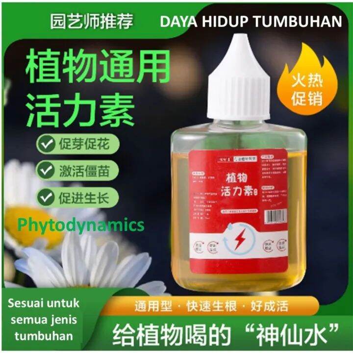 Plant auxin rooting Hormone Liquid Rooting Hormones for Plants Plant ...