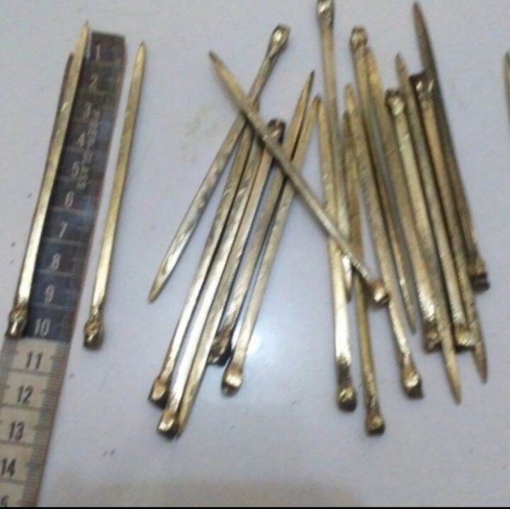 paku bumi Kuningan Rajah 10 cm satuan | Lazada Indonesia
